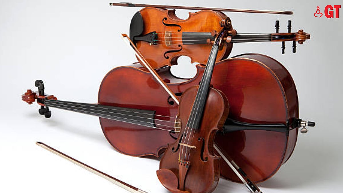 Learn to play a string instrument from a maestro in Goa