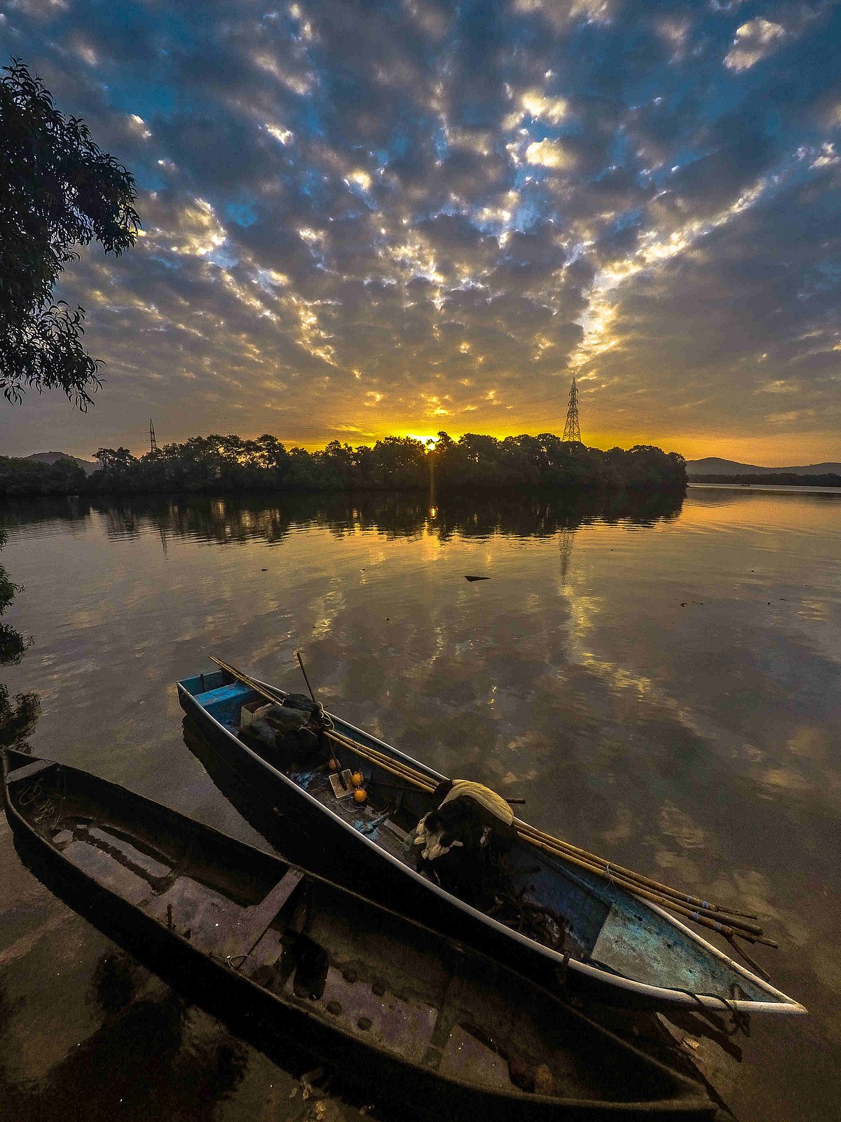 International Day of Action for Rivers: Goa's rivers are as ancient as ...