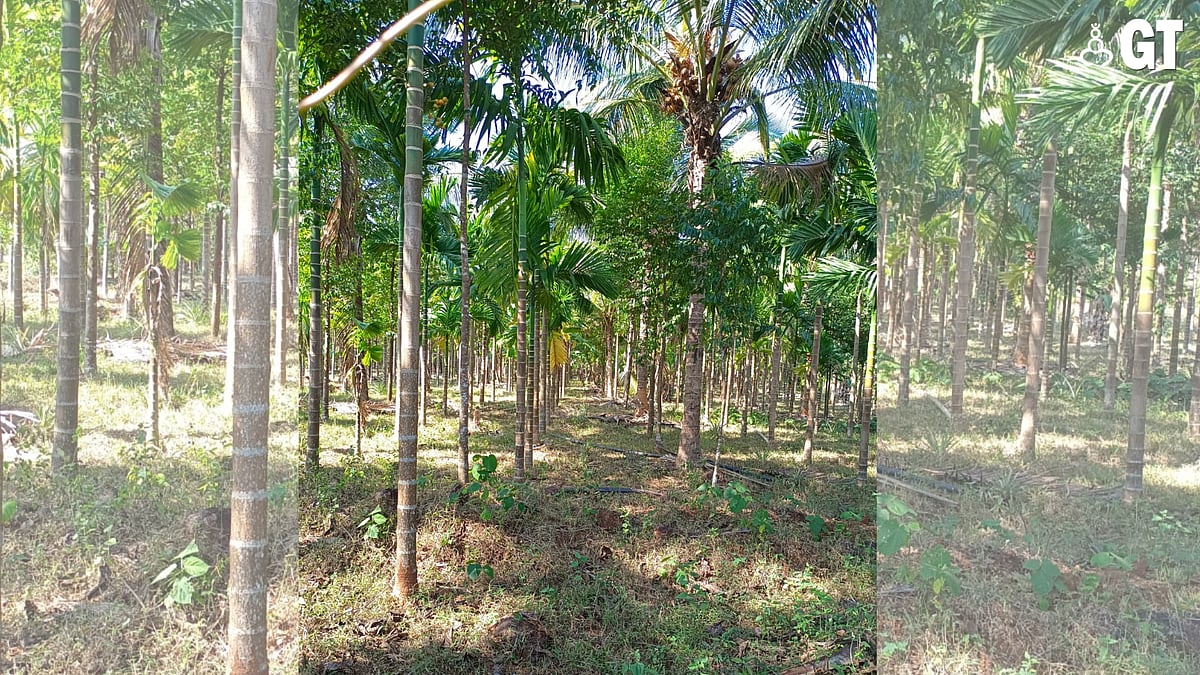 Goan farmers integral to hinterland tourism promotion in Dharbandora ...