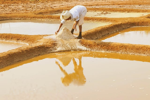 Prostitution may prove the final nail in the coffin for Goa’s high-end ...