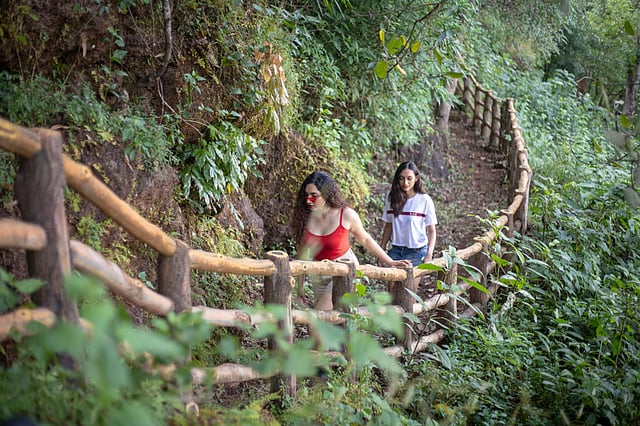 These 5 best farmstays in Goa will make you want to ditch the beach ...