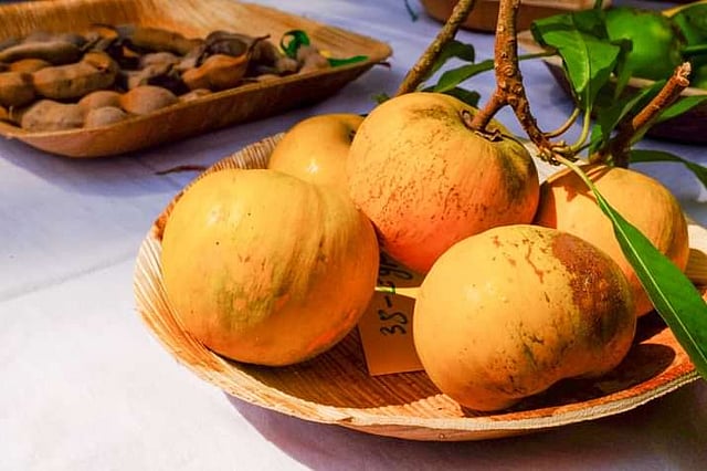 That very first Konkan Fruit fest in Goa – a story of faith, fruits and ...