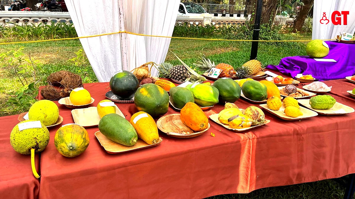 These stalls at the Konkan fruit fest are a must-visit! |Gomantak Times