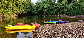 These 5 best farmstays in Goa will make you want to ditch the beach ...