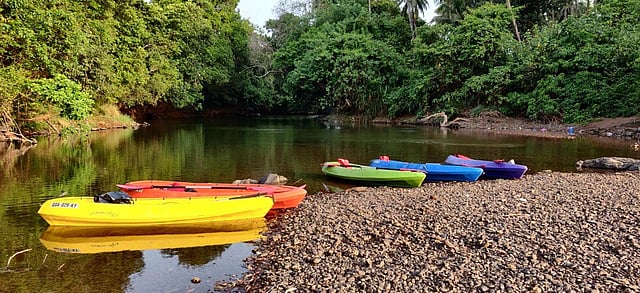 These 5 best farmstays in Goa will make you want to ditch the beach ...