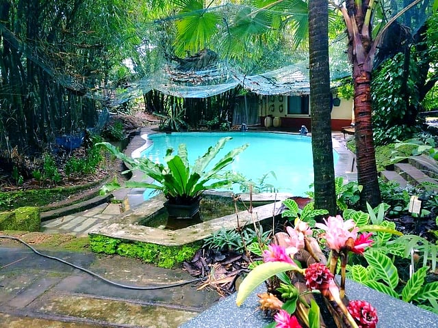 These 5 best farmstays in Goa will make you want to ditch the beach ...