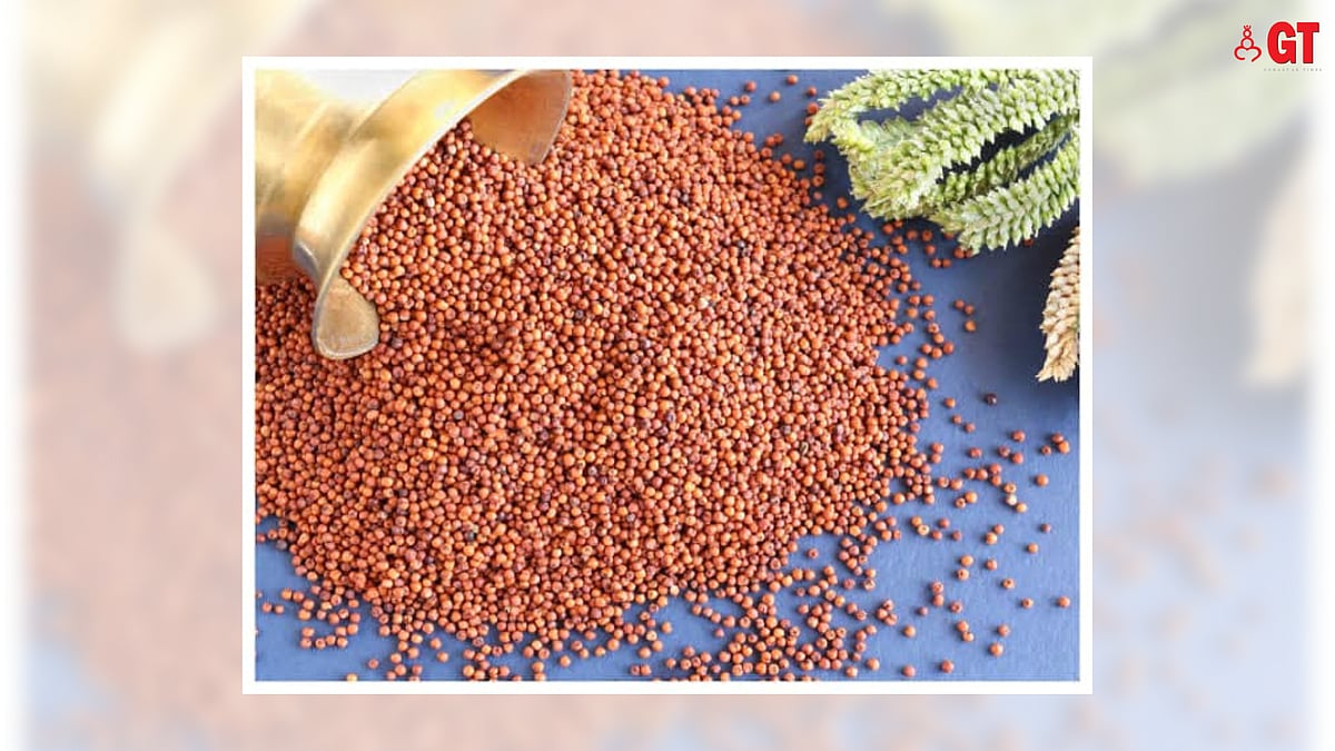 Wondering about Goa’s millet scene? | Gomantak Times
