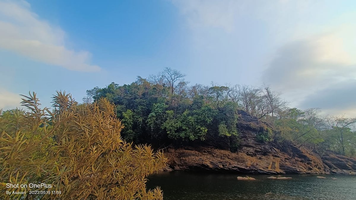 Recording Goa’s biodiversity for a ‘susegad’ future|Gomantak Times