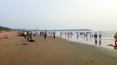 This all-important summer beach ritual in Goa is close to extinction ...