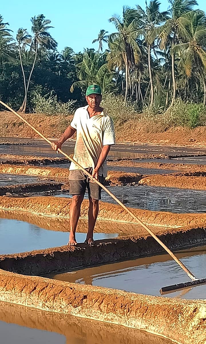 A glance at Goa's dying traditional salt pans|Gomantak Times