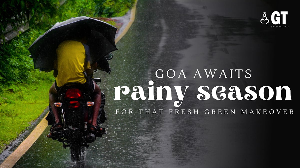 Goa awaits rainy season for that fresh green makeover| Gomantak Times
