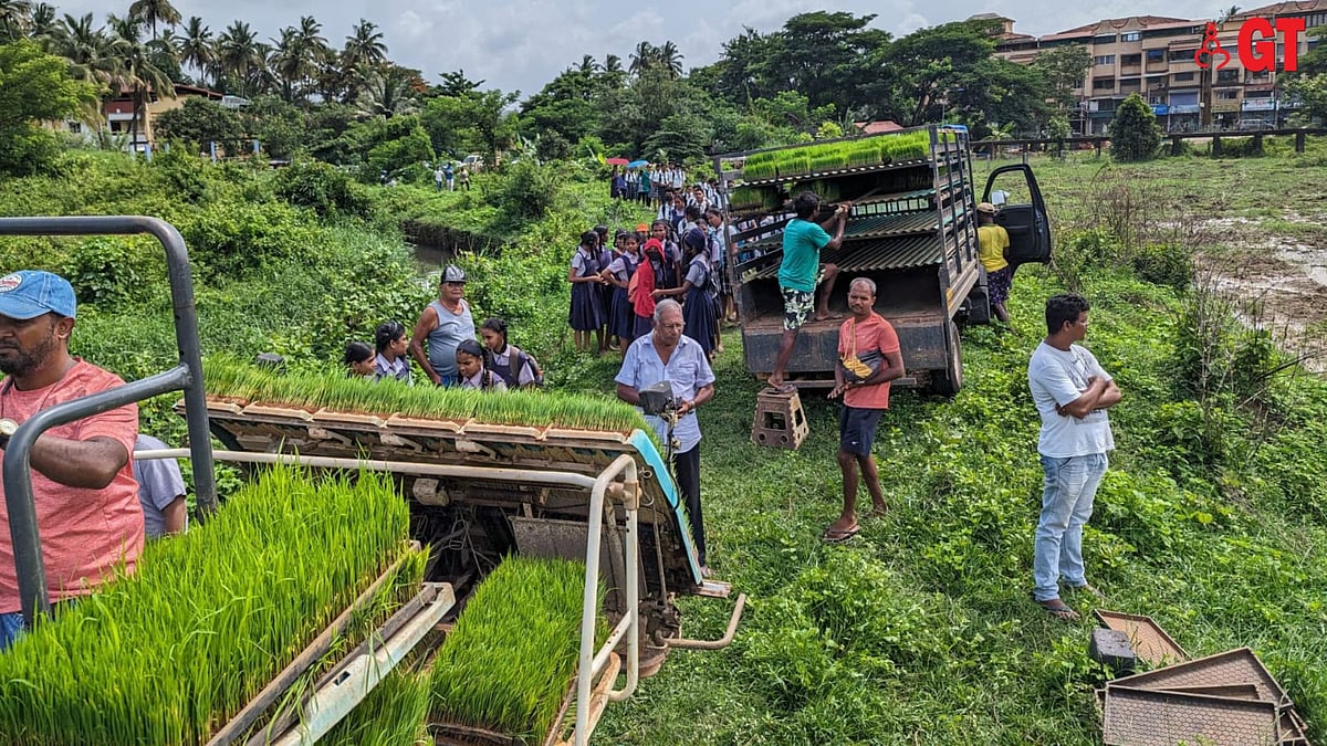 Farming scenarios differ in Goa's north, south due to delayed rains ...