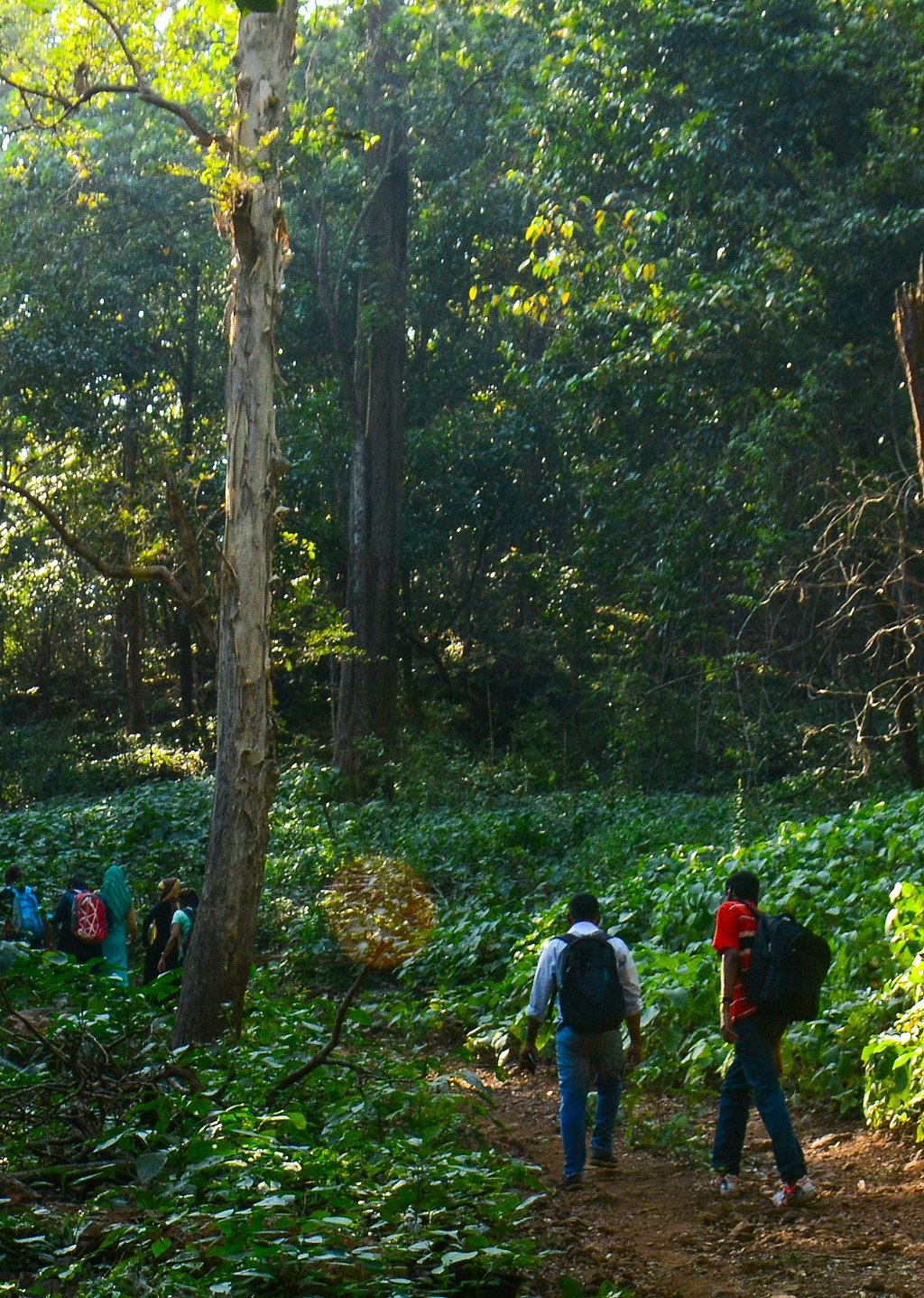 Don’t know what to do in Goa during the monsoons?| Gomantak Times