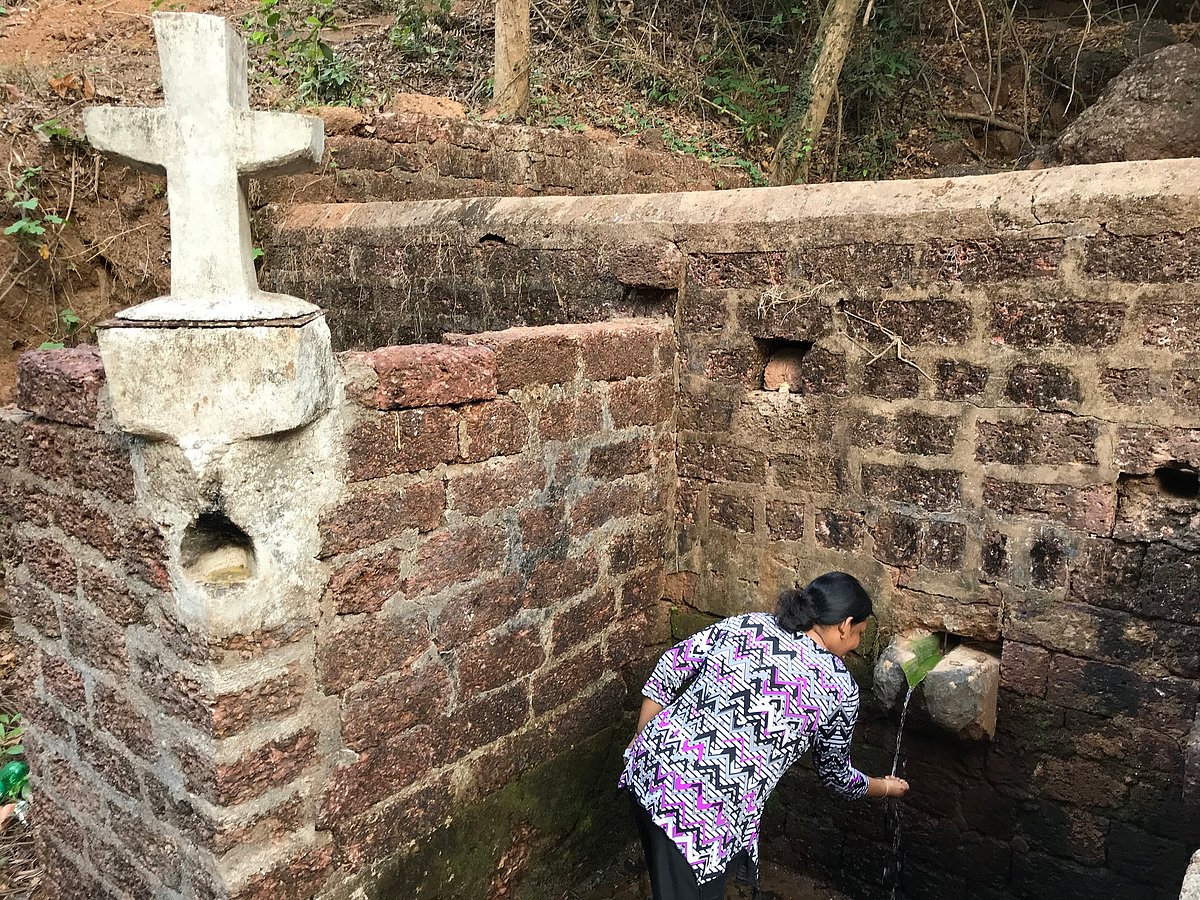 Goa has medicinal waters, too| Goa | Gomantak Times
