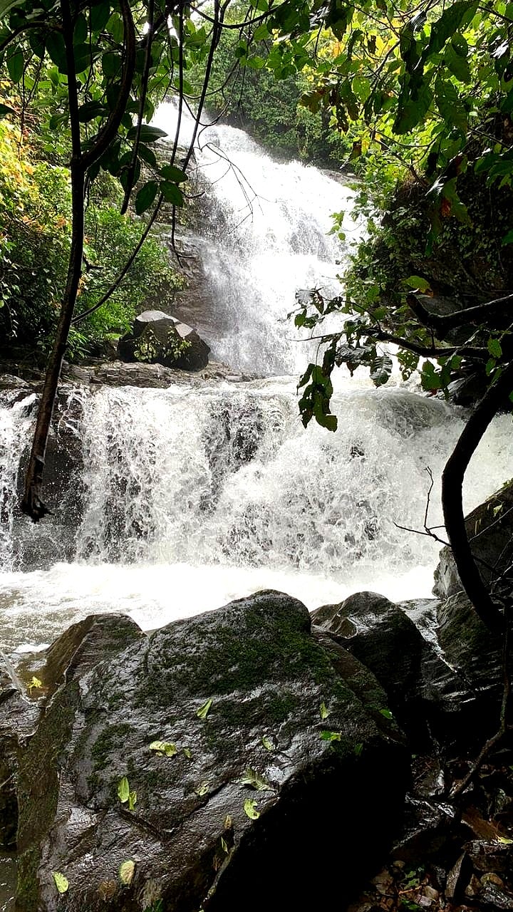 Goa govt lifts ban on 14 waterfalls|Waterfalls to visit during monsoon ...