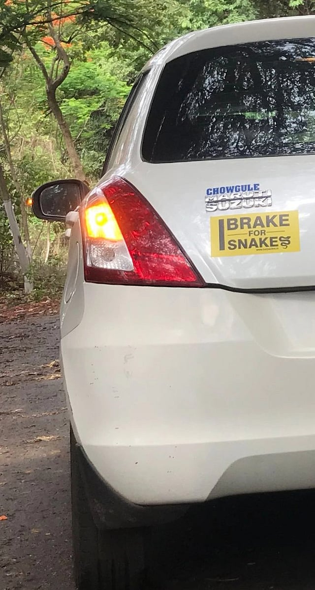 I Brake For Snakes campaign launched to save snakes' lives on Goa roads