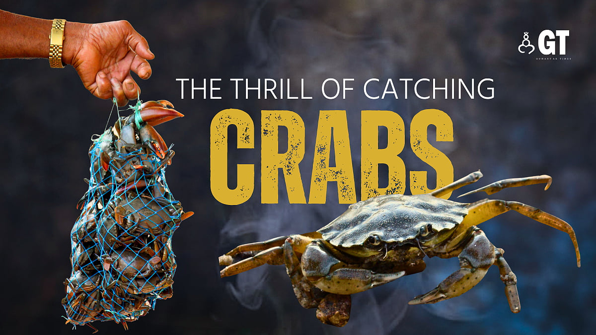 Nothing like the thrill of catching crabs in Goa| Gomantak Times
