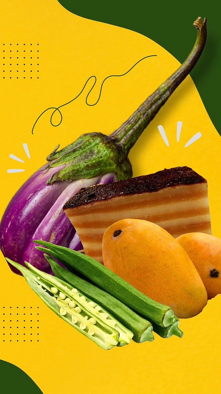 This July, 4 more Goan items await GI tag|Gomantak Times