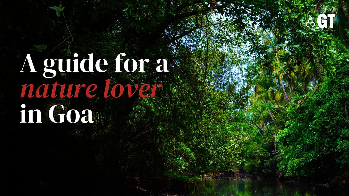 A guide for a nature lover in Goa