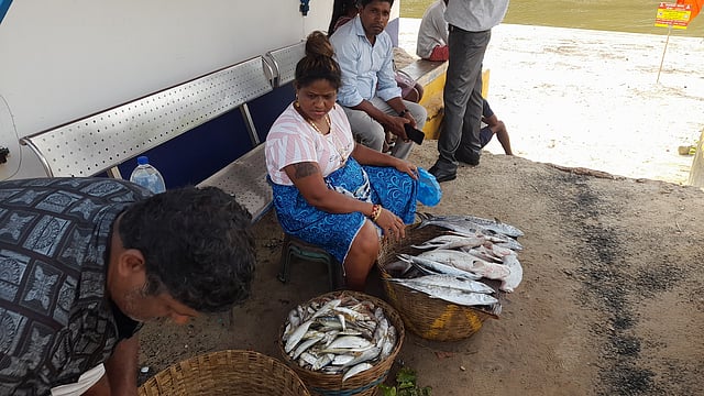 Fish is back on the menu in Goa|Gomantak Times