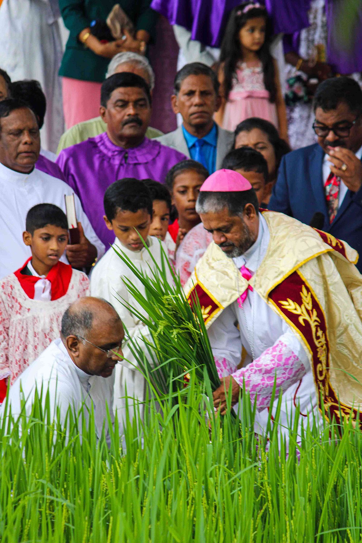 Goa's first 'Konsachem Fest' was celebrated at Raia village today
