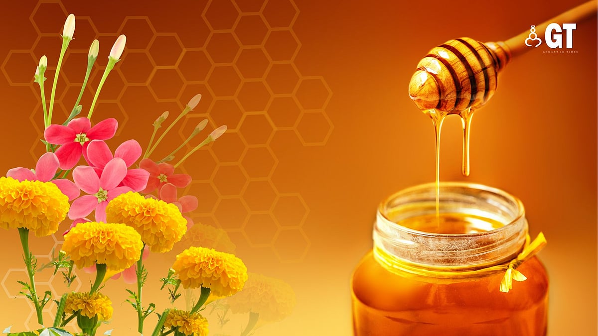 Best Honey Competition in Goa on National Honey Bee Day