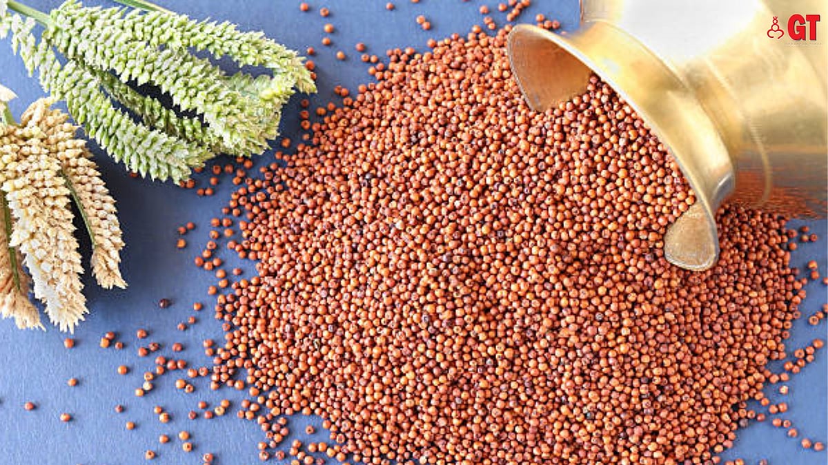 Workshop on 'Shree Anna: Role of Millets in Global Nutritional Security ...