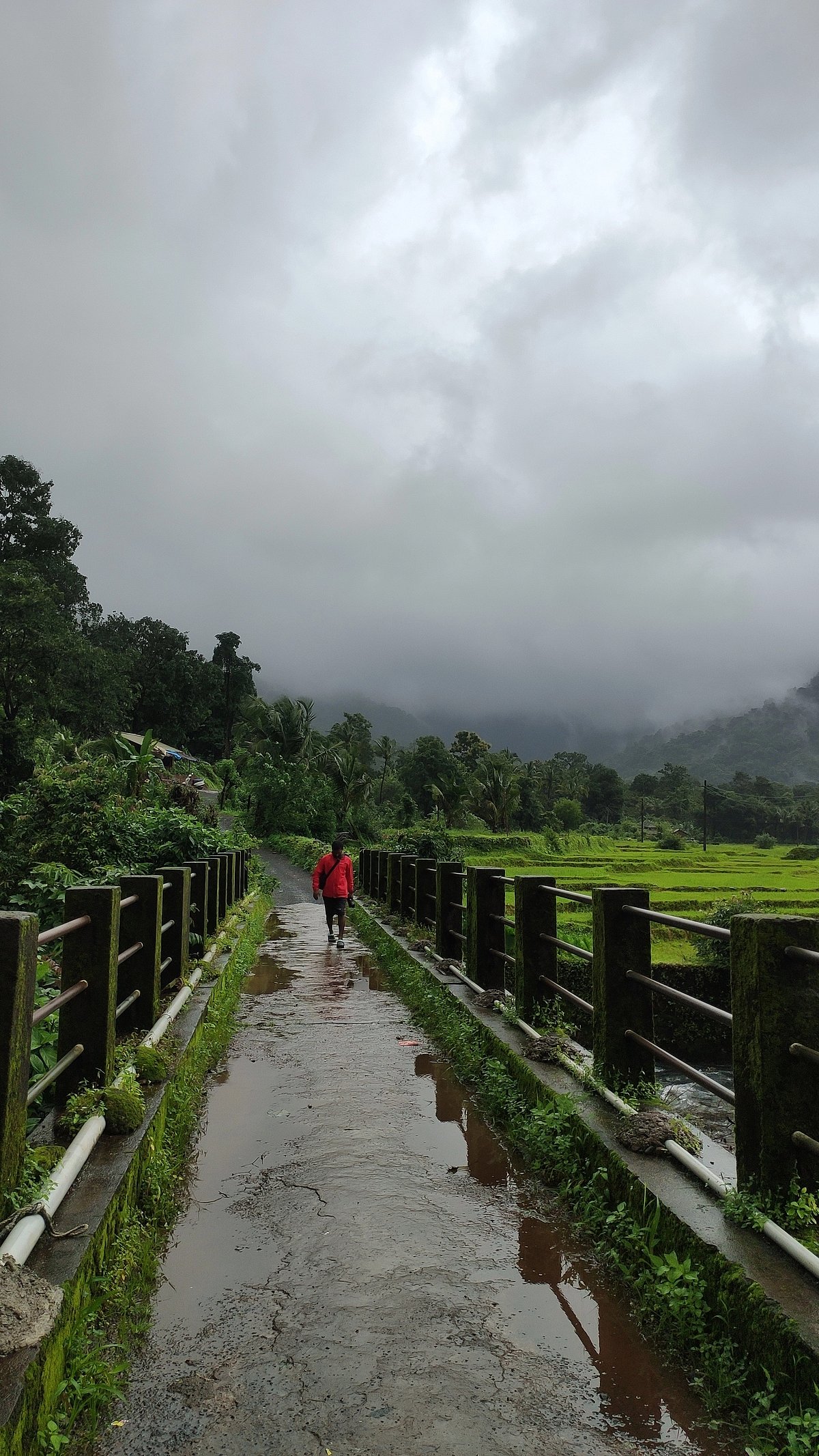 Know why Cotigao is best tourism village of 2023|Gomantak Times