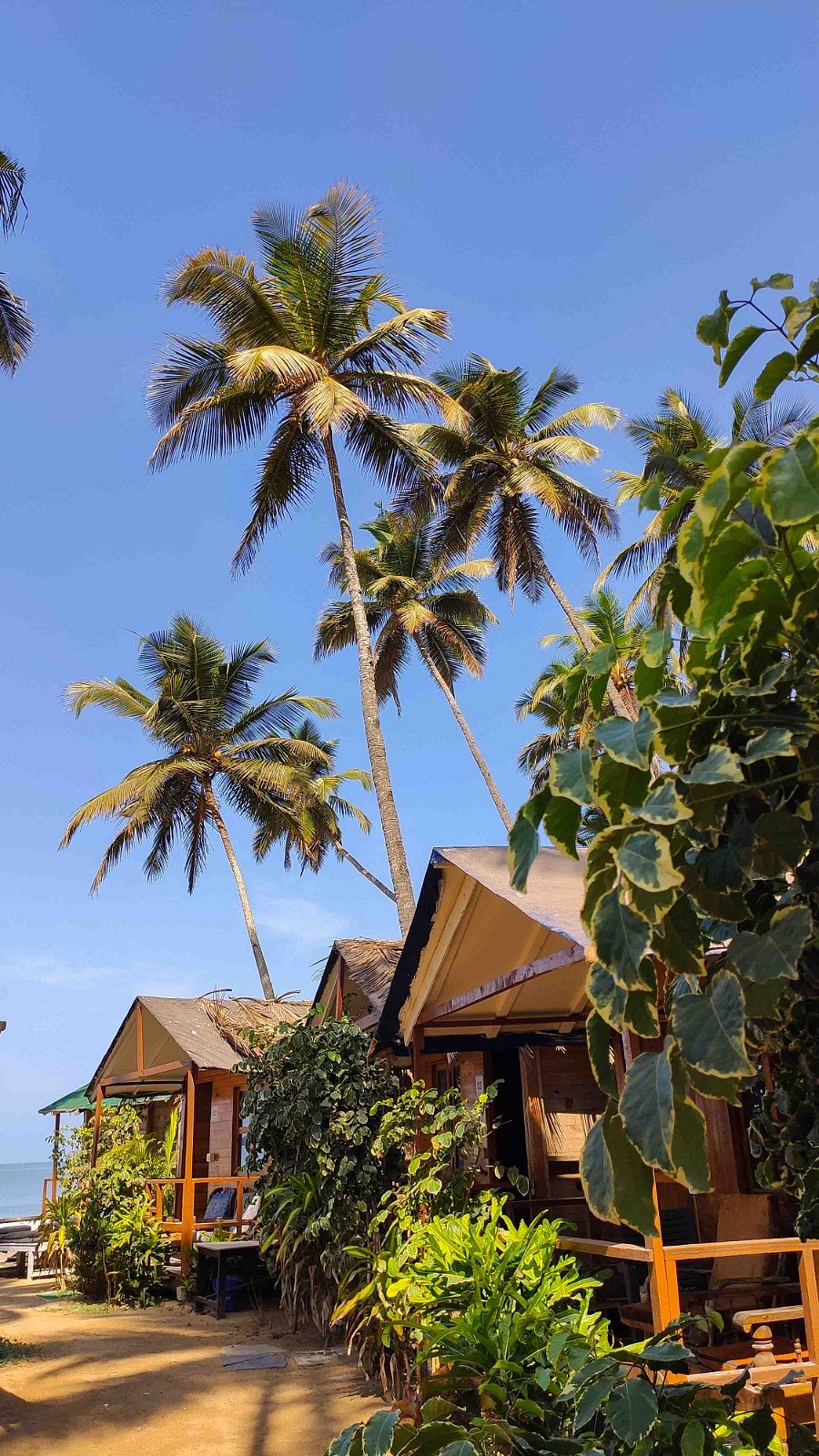 Goa on your mind? Here's why you can't get this scenic, vibrant ...