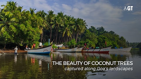 Experiencing Goa’s Parra beyond the Maddani Road | Gomantak Times