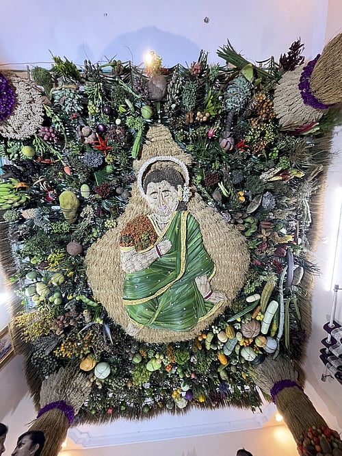 Is it art? Is it biodiversity? It’s ‘matoli’ art in Goa like you’ve ...