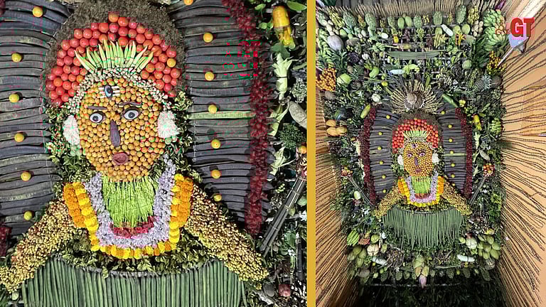 Is it art? Is it biodiversity? It’s ‘matoli’ art in Goa like you’ve ...