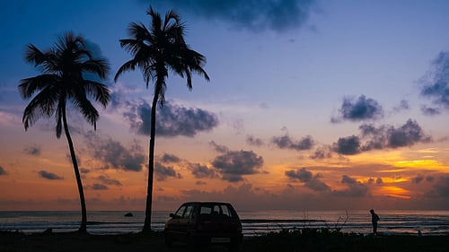 The beauty of coconut trees captured along Goa’s landscapes |Gomantak Times