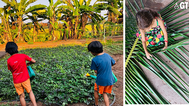 Edricia Farm: A haven for learning traditional Goan arts and trades