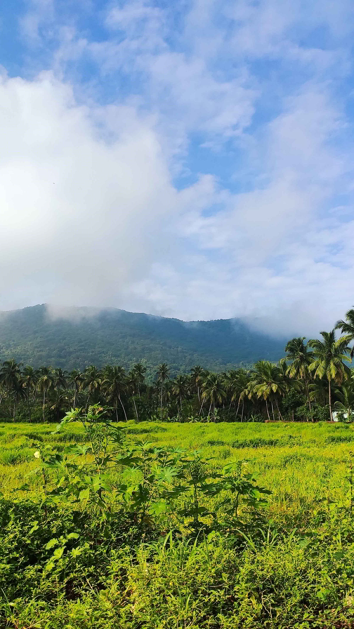 Less-crowded places in Goa you must visit | Gomantak Times