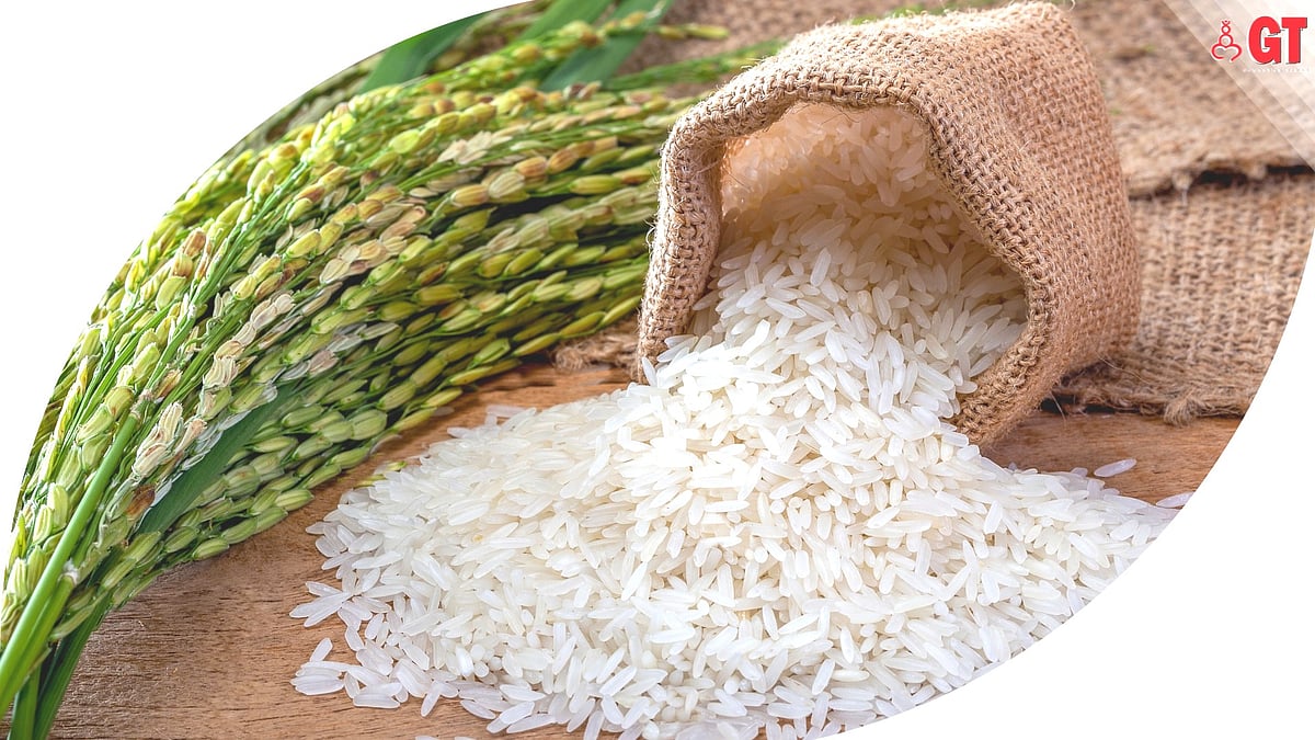 Celebrate Goa's staple grain at Saligao’s ‘Harvest Festival’