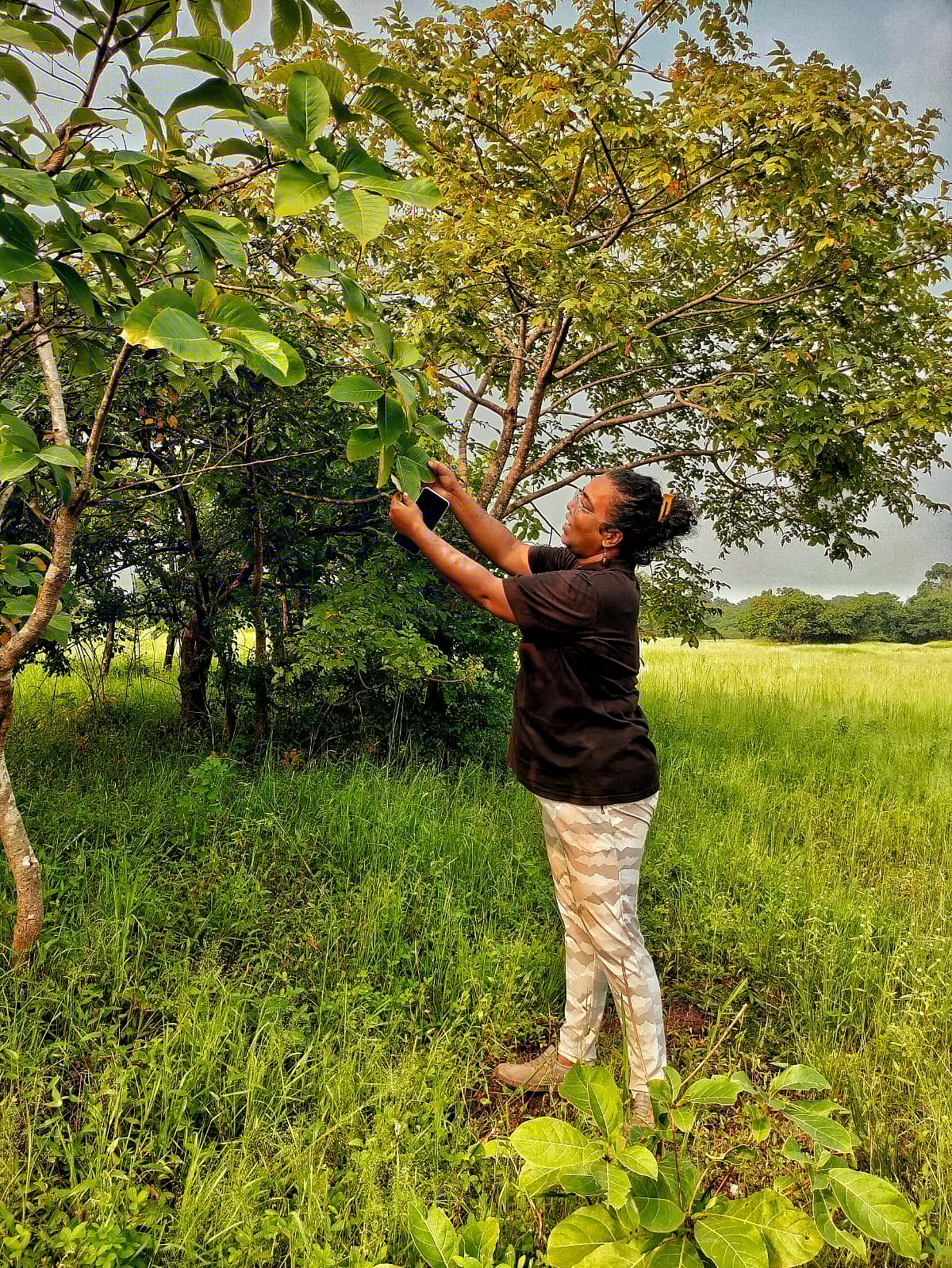 Get a glimpse of the unique vegetation on Goa's Socorro Plateau