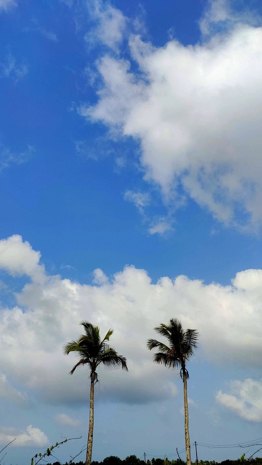 Navratri Day 4: Make your Goa sojourn more 'bluetiful', embrace blue ...