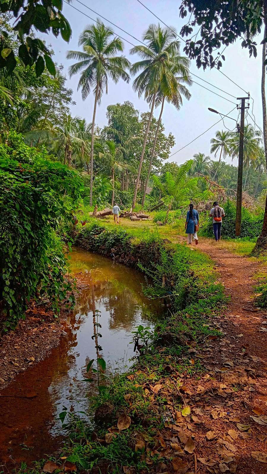 Savoi-Verem: Unveiling the serene beauty of Goa’s hidden gem