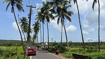 Experiencing Goa’s Parra beyond the Maddani Road | Gomantak Times