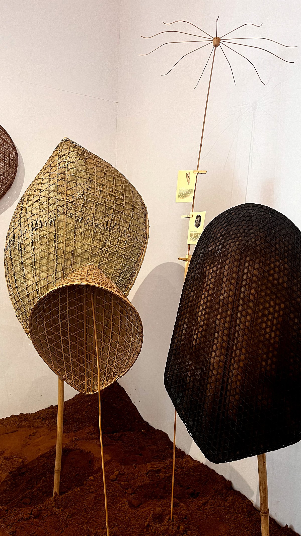Get inspired by bamboo at this exhibition at Serendipity in Goa ...