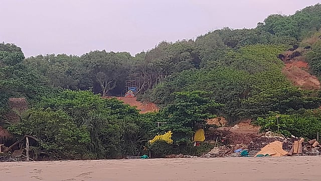Wildlife gets wild about their shrinking habitat | Gomantak Times