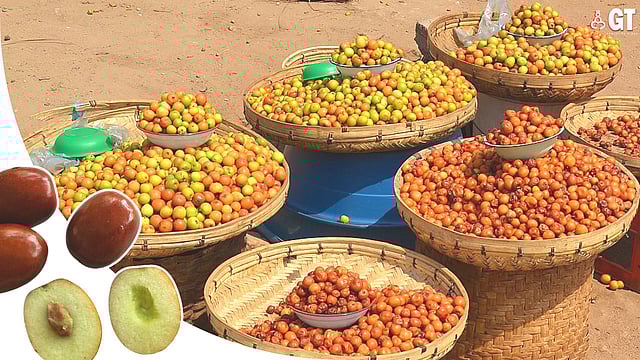 Goa's Berry Season: Jackal Jujube, Boram, and More | Gomantak Times