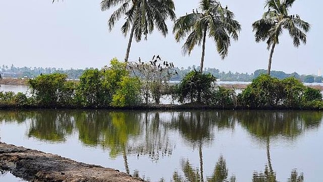 Workshop focuses on need to protect Goa's khazans | Gomantak Times