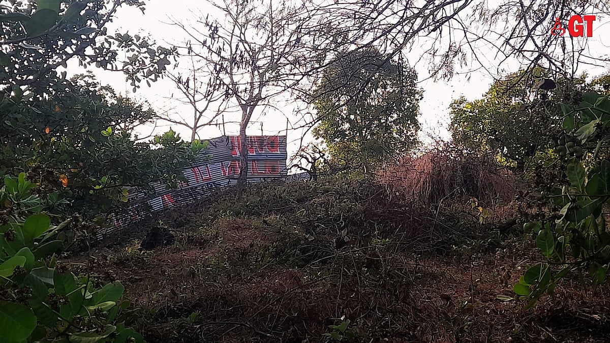 Echoes of tree cutting surround green festival in Goa | Gomantak Times