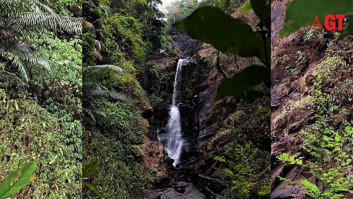 Embrace nature's majesty at Goa's Savari waterfall | Gomantak Times