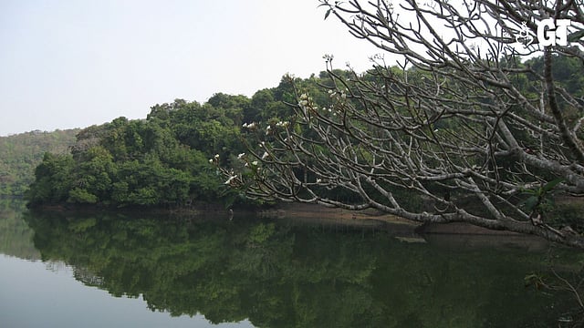 Take a breather at Dhamapur lake in Sindhudurg with Eco Treks ...