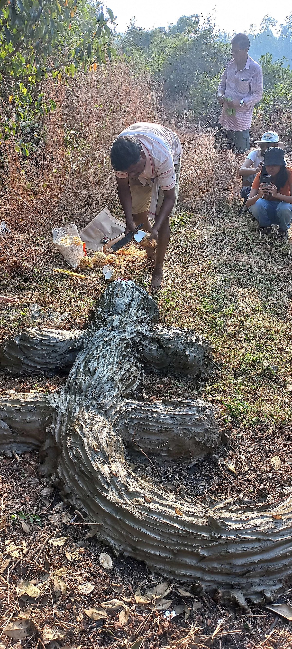 The unique crocodile ritual of Goa| Gomantak Times