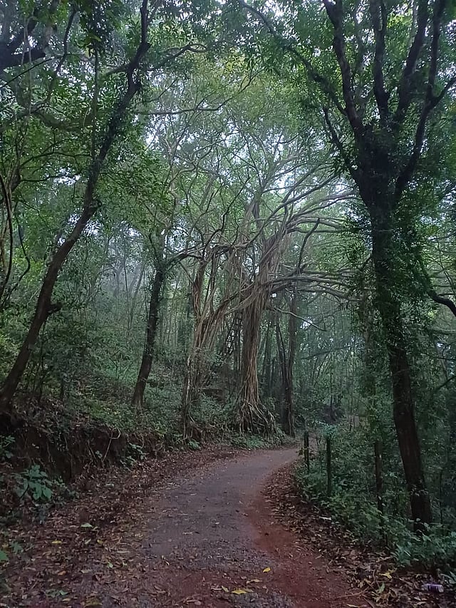 Take a breather at Dhamapur lake in Sindhudurg with Eco Treks ...