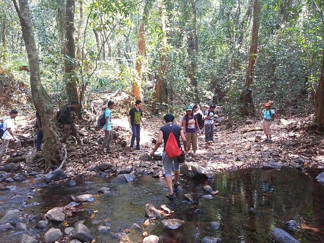 Embrace nature's majesty at Goa's Savari waterfall | Gomantak Times
